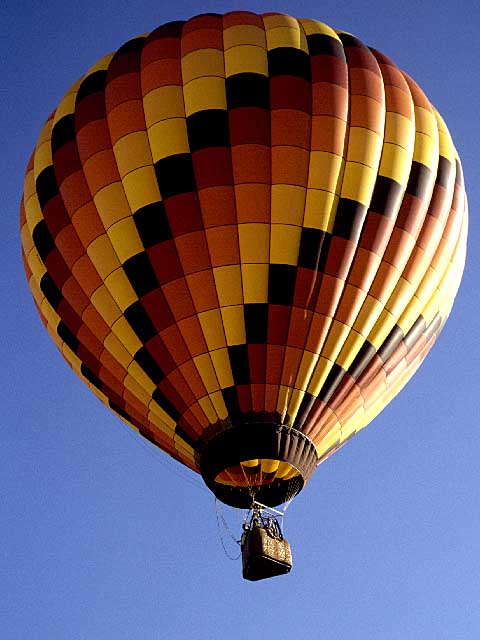 Products & Services > | AM Insurance